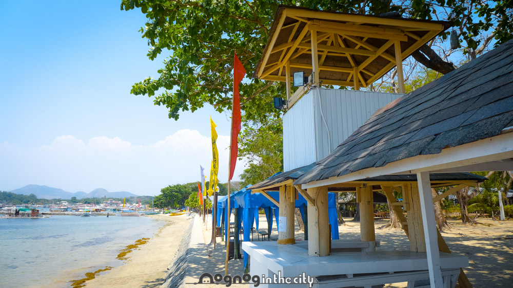 matabungkay beach resort in batangas-47 | Nognog in the City